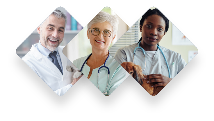 New Blue Vet Connect