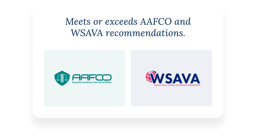 New Blue Vet Connect