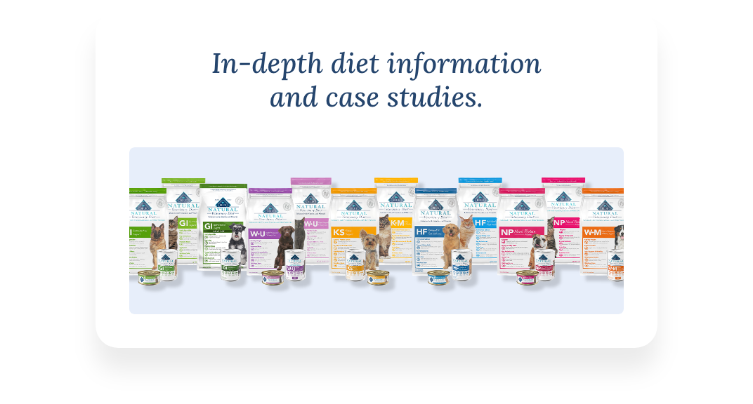 New Blue Vet Connect